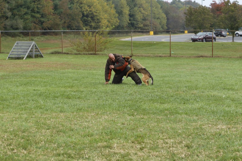 Delaware State Police Announce K9 Teams Receive National Certification ...