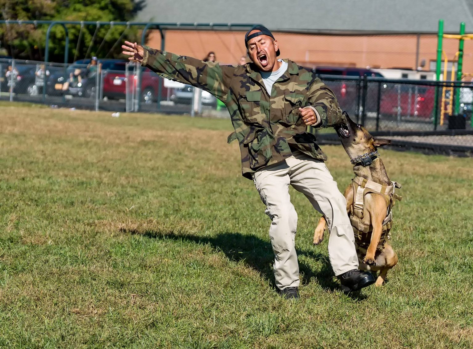 Take Your Dog to Work Day... Every Day! - Delaware State Police - State ...
