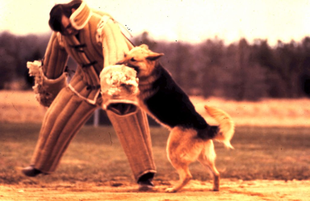 Take Your Dog to Work Day... Every Day! - Delaware State Police - State ...