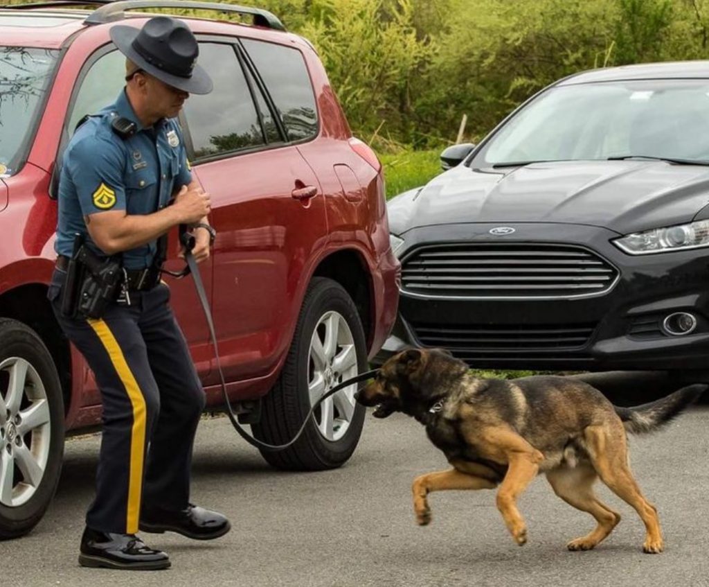 Take Your Dog to Work Day... Every Day! - Delaware State Police - State ...