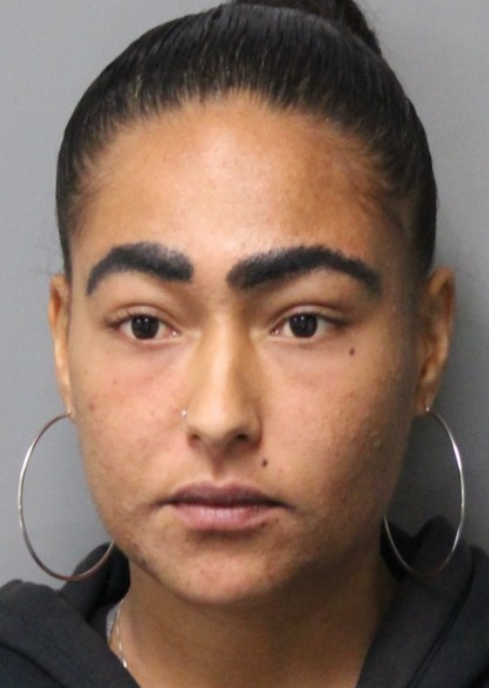 State Police Arrest Bridgeville Pair for Burglary and Theft - Delaware State Police - State of ...